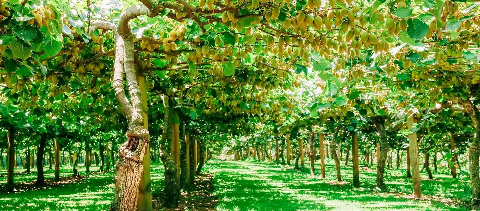 Agrecovery | Rural Recycling Programme